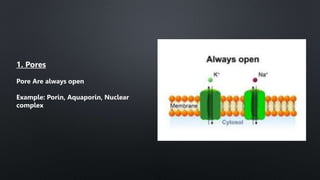 channel and pump.pptx
