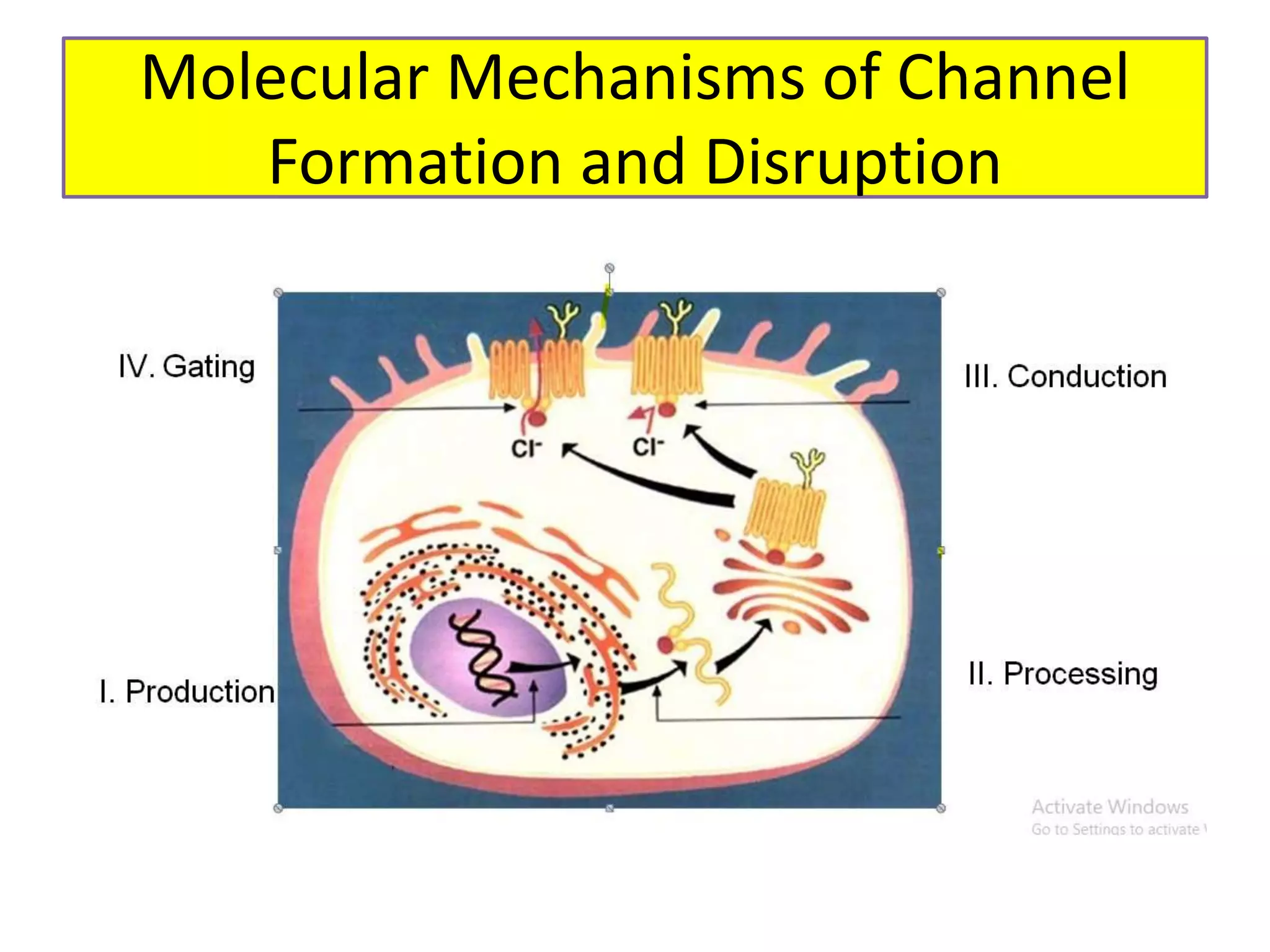 channelopathy.pptx