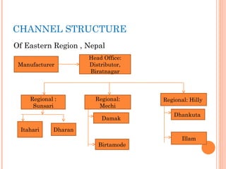 Channel management project | PPT | Sales | Business