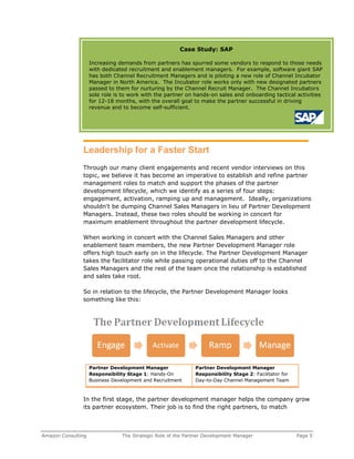 The Strategic Role of the Partner Development Manager | PDF