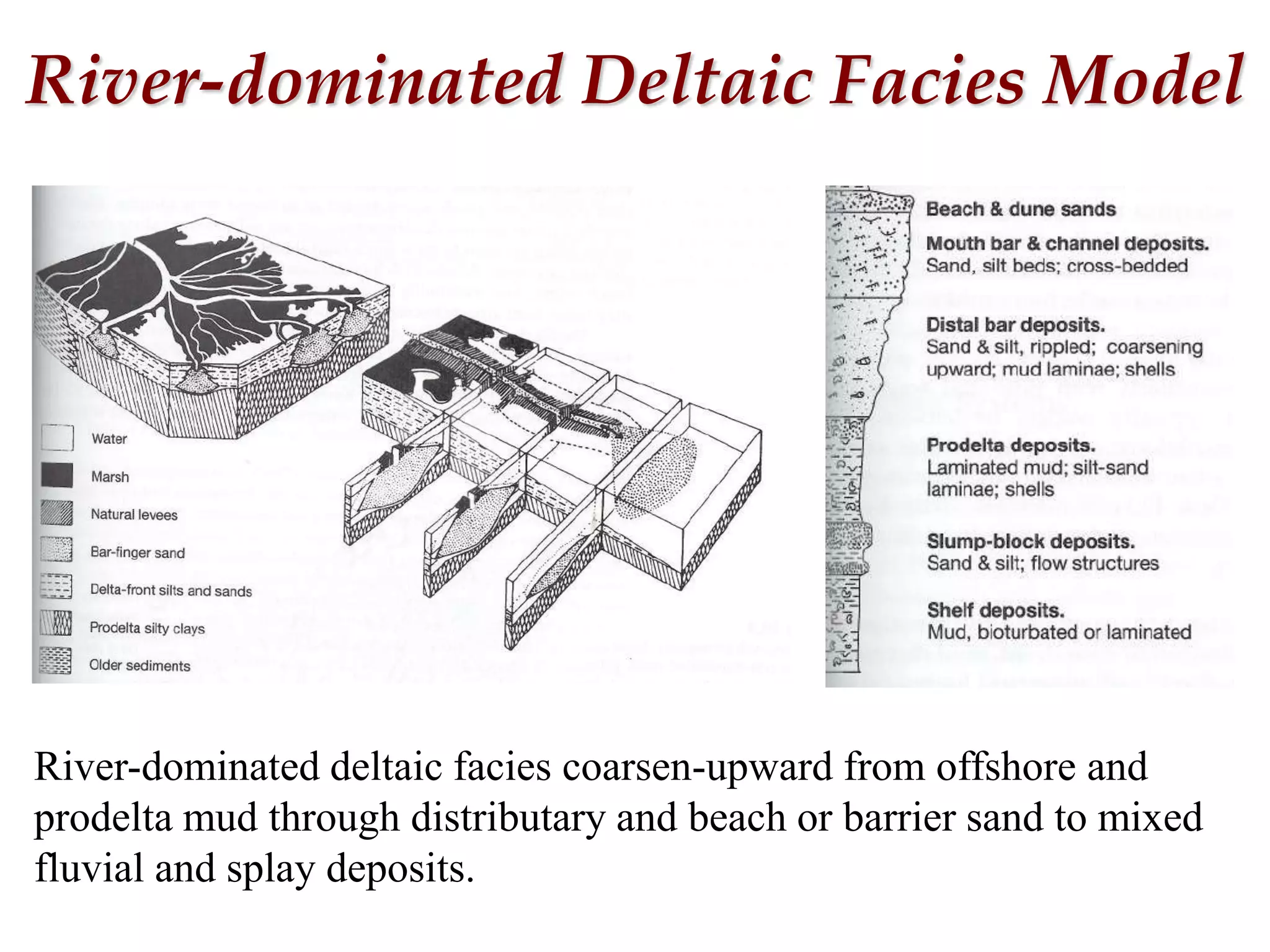 channel margin bars or levees.ppt