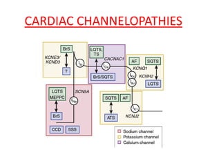 CHANNELOPATHIES - DR RAMDHAN.ppt