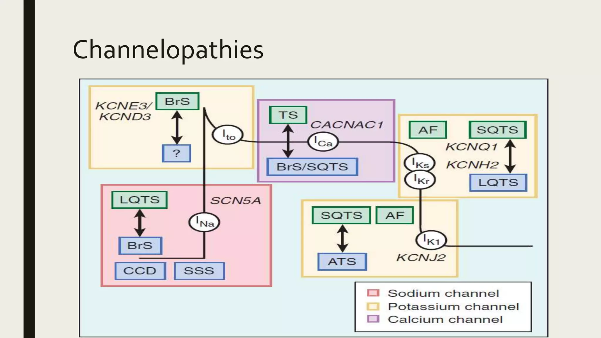 Cardiac Channelopathies | PPTX