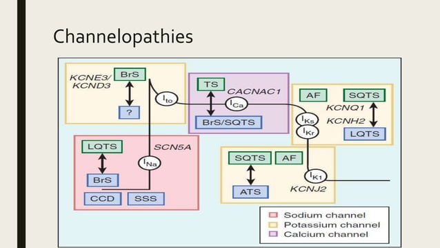 Cardiac Channelopathies | PPT