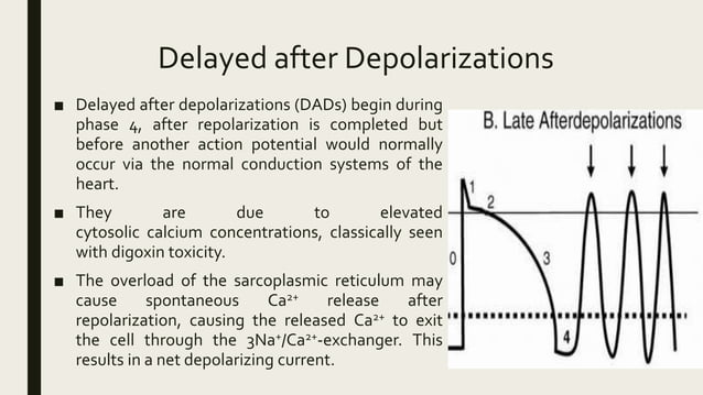 Cardiac Channelopathies | PPT