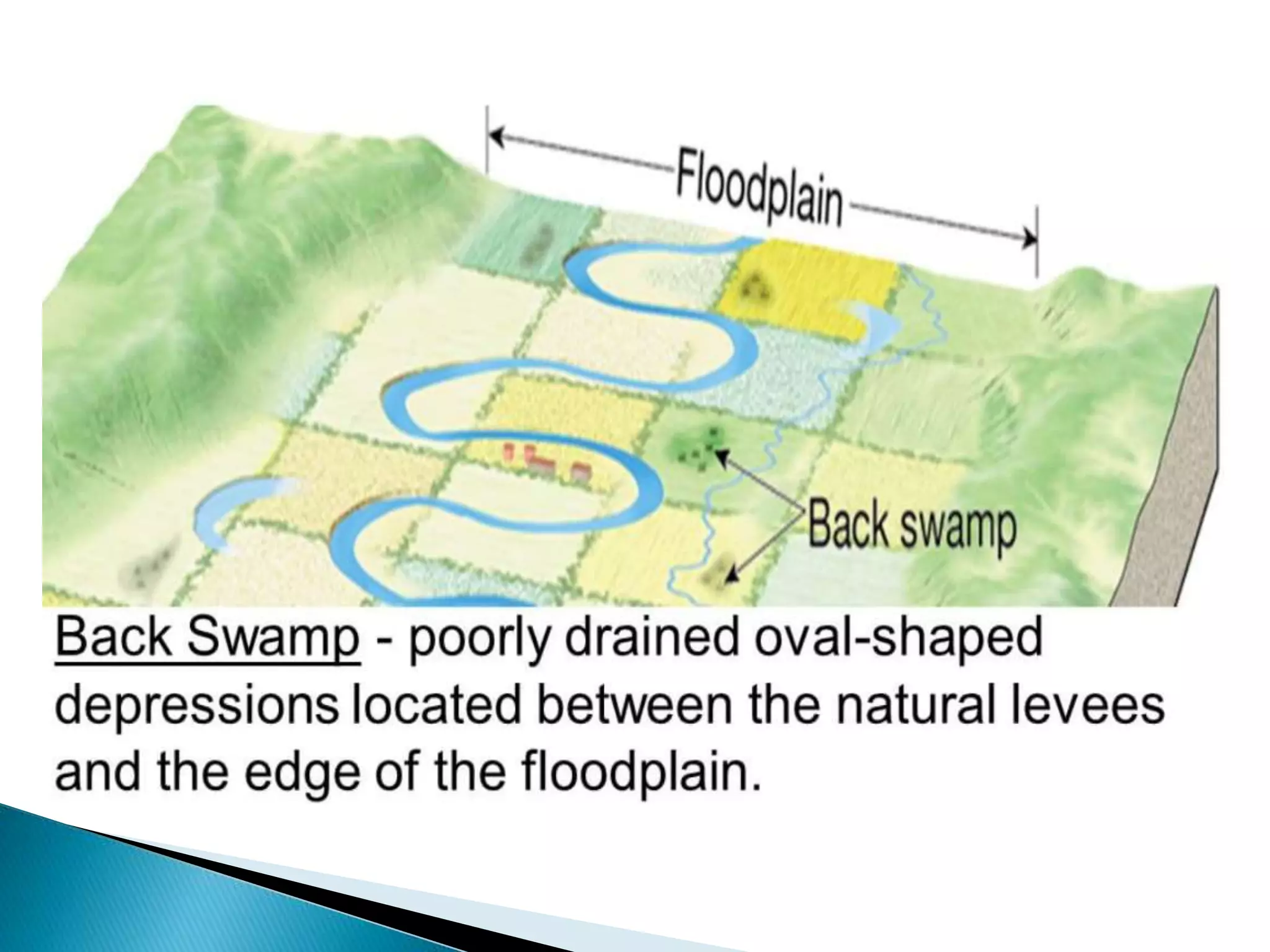 Channel Patterns & Floodplain Formation in environmental geology | PPTX