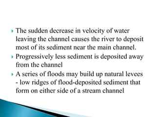 Channel Patterns & Floodplain Formation in environmental geology | PPTX