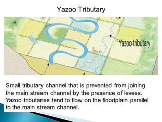 Yazoo Tributary