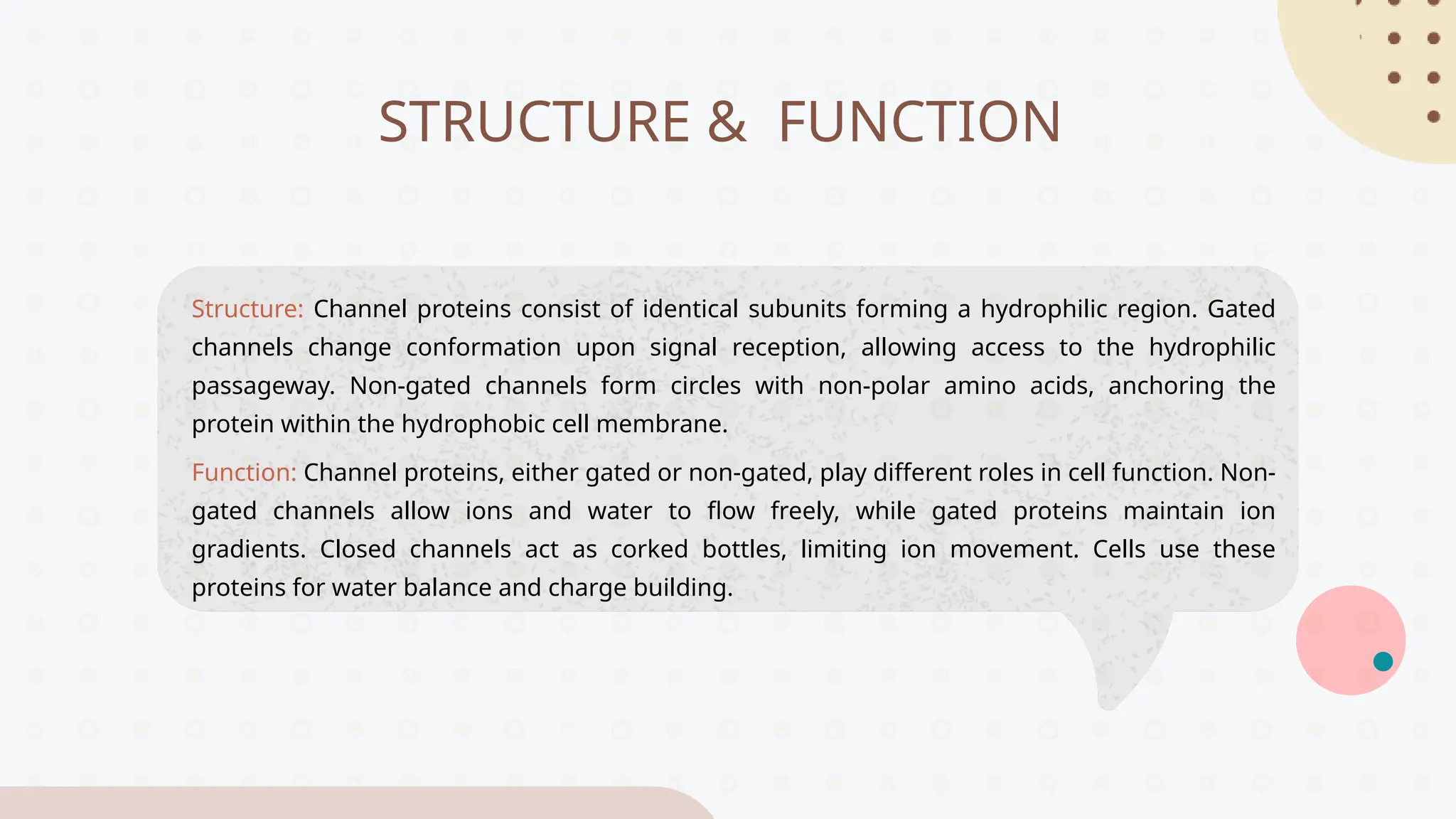 Channel Protein Channel Protein 123.pptx