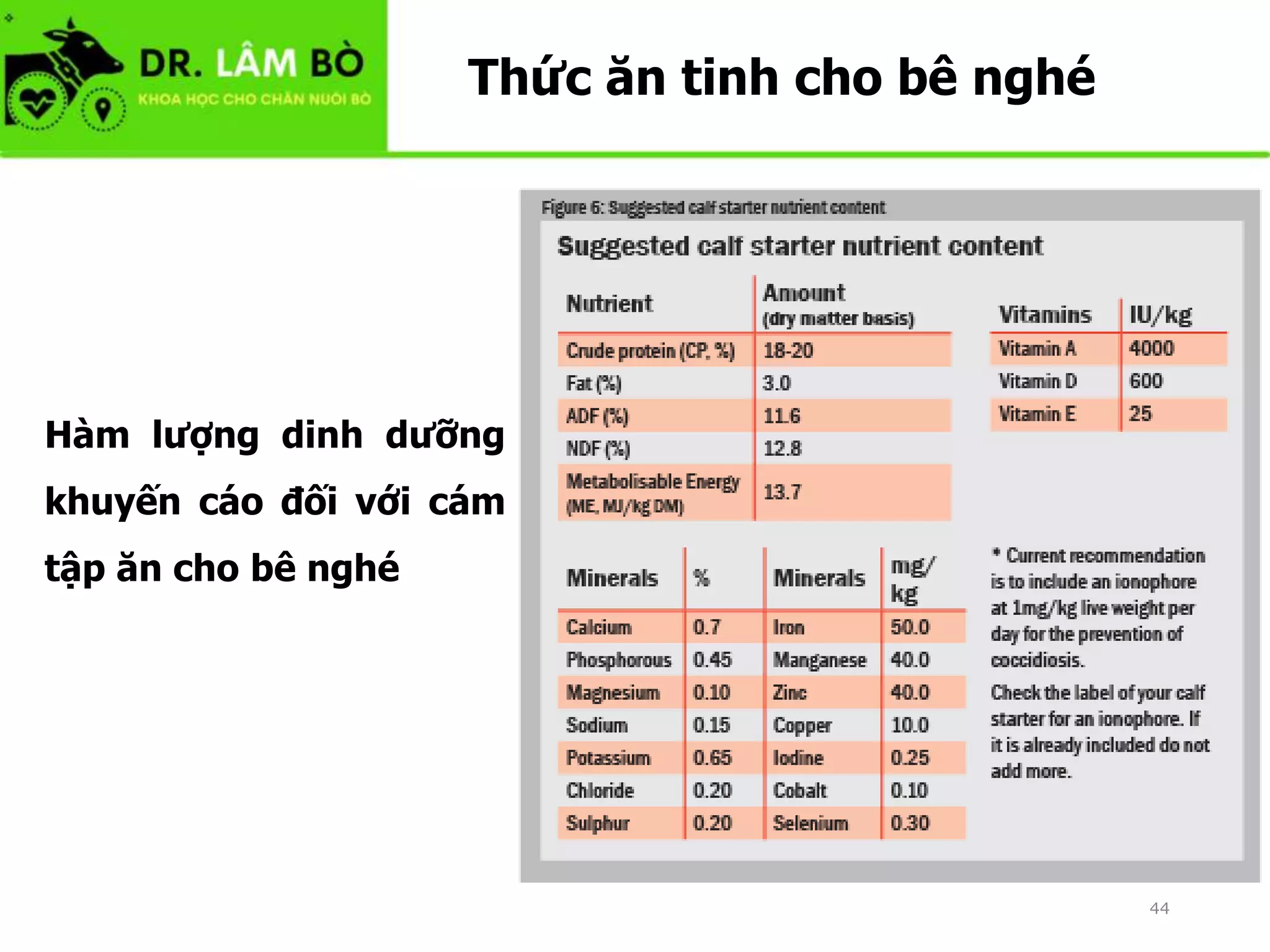 Kỹ thuật chăn nuôi bê nghé | PPT