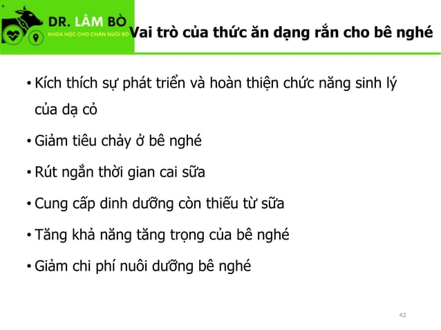 Kỹ thuật chăn nuôi bê nghé | PPT