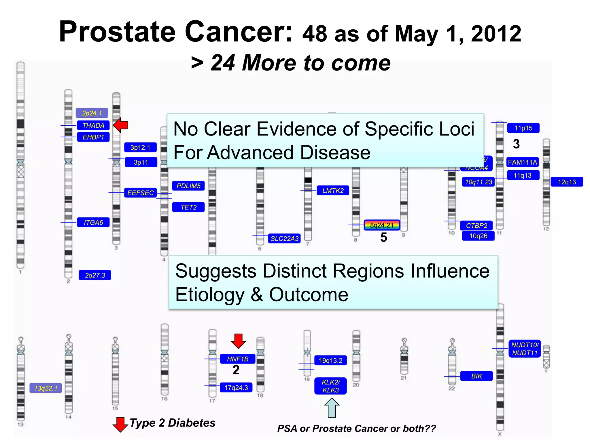 Dr. Stephen Chanock: Genome-wide Association Studies | PDF | Endocrine ...