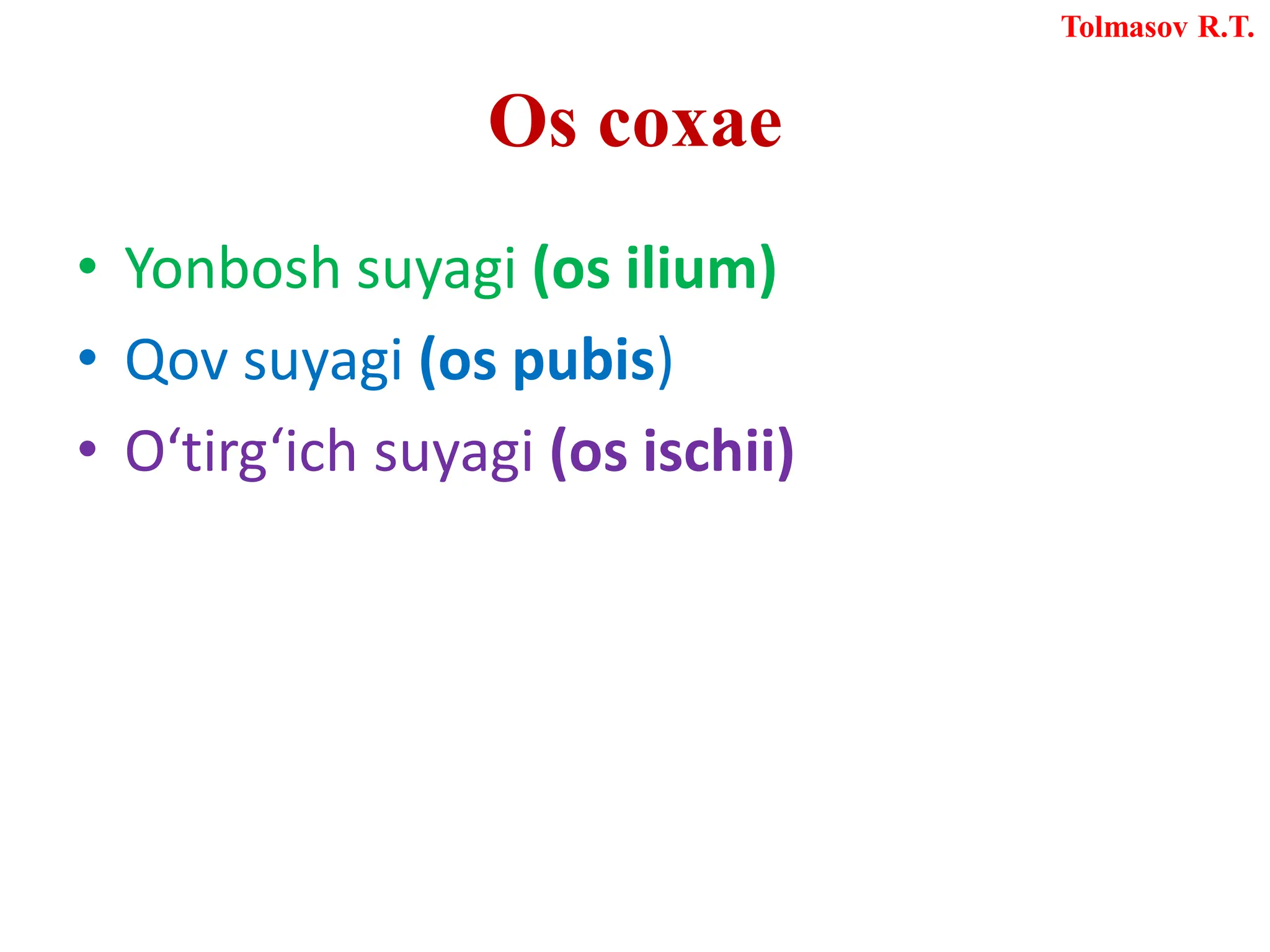 Chanoq suyagi. pelvic girdle Tolmasov R.T..pdf