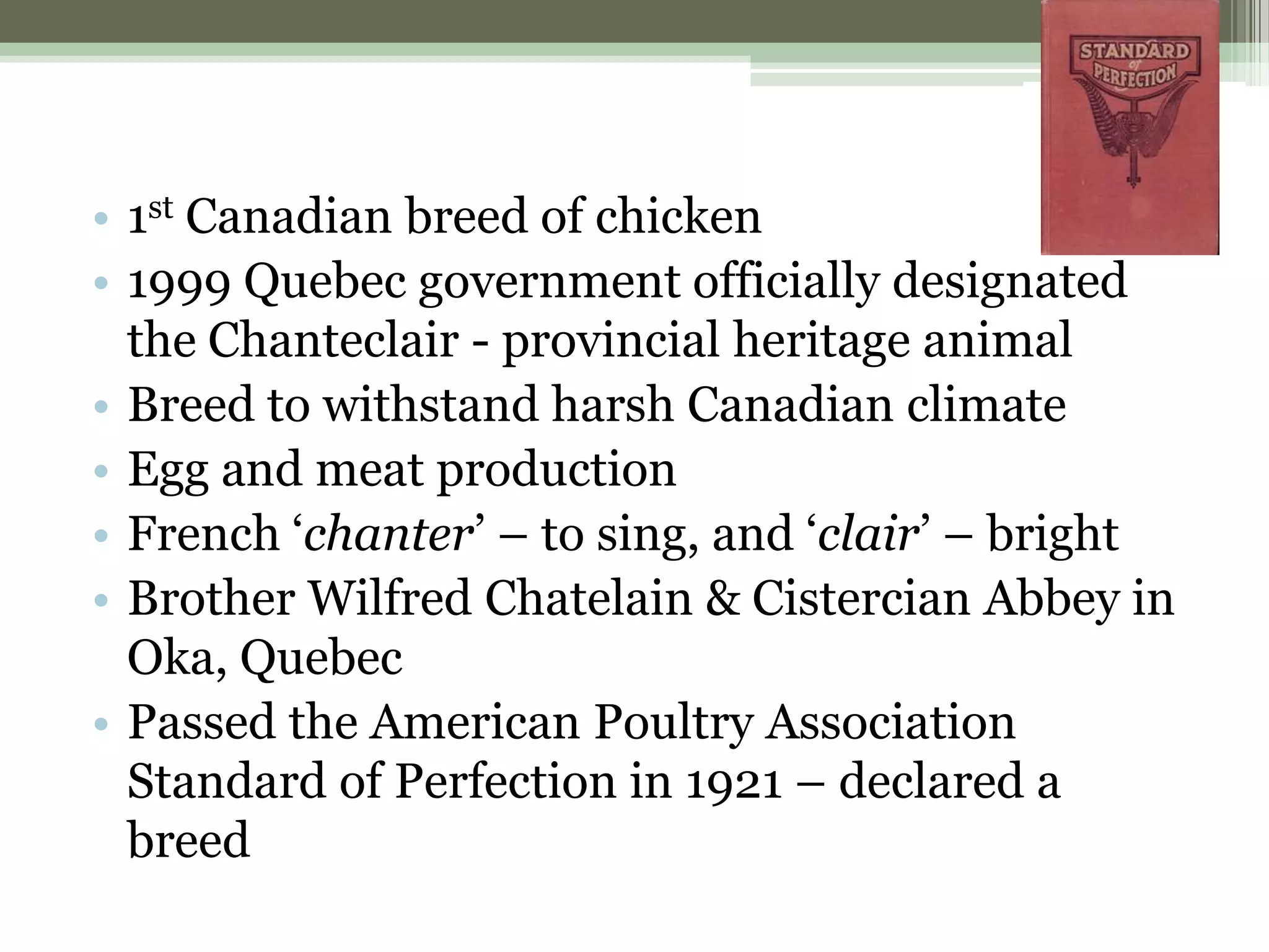 Chanteclair Chicken | PPT