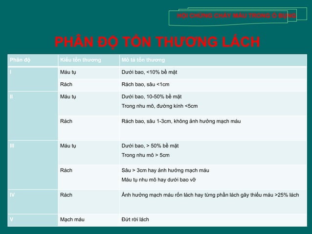 Chấn thương và vết thương bụng - 2019 - Đại học Y dược TPHCM | PDF