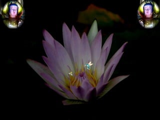 Chant Of Metta | PPT