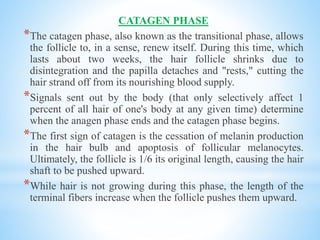 hair growth cycle | PPTX