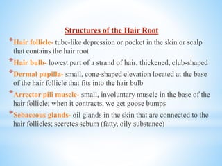 hair growth cycle | PPTX