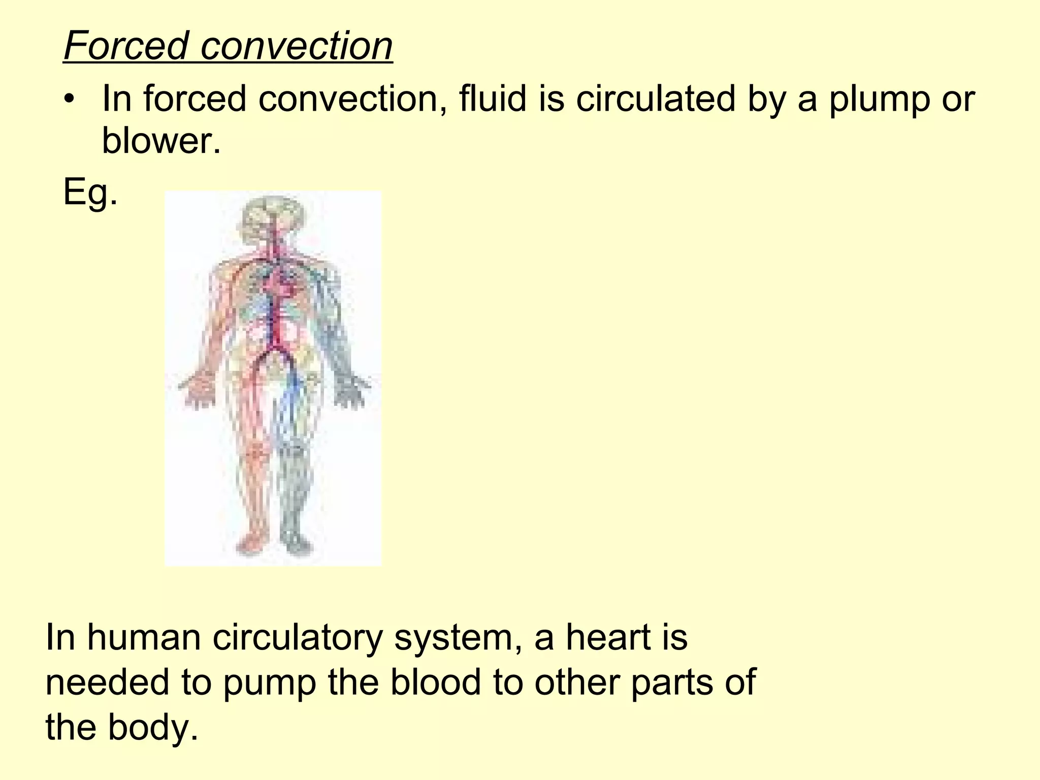 Chan yeeyi convection | PPT