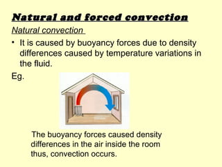 Chan yeeyi convection | PPT