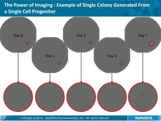 US Pharma presentation on clone screen strategy for monoclonality using ...