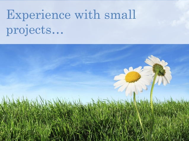 Reverse Chaos Method of Requirements Prioritisation | PPT