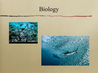 Chaos Theory | PPT
