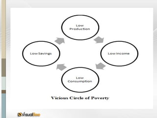 Chap. 13. dynamics of development | PPT