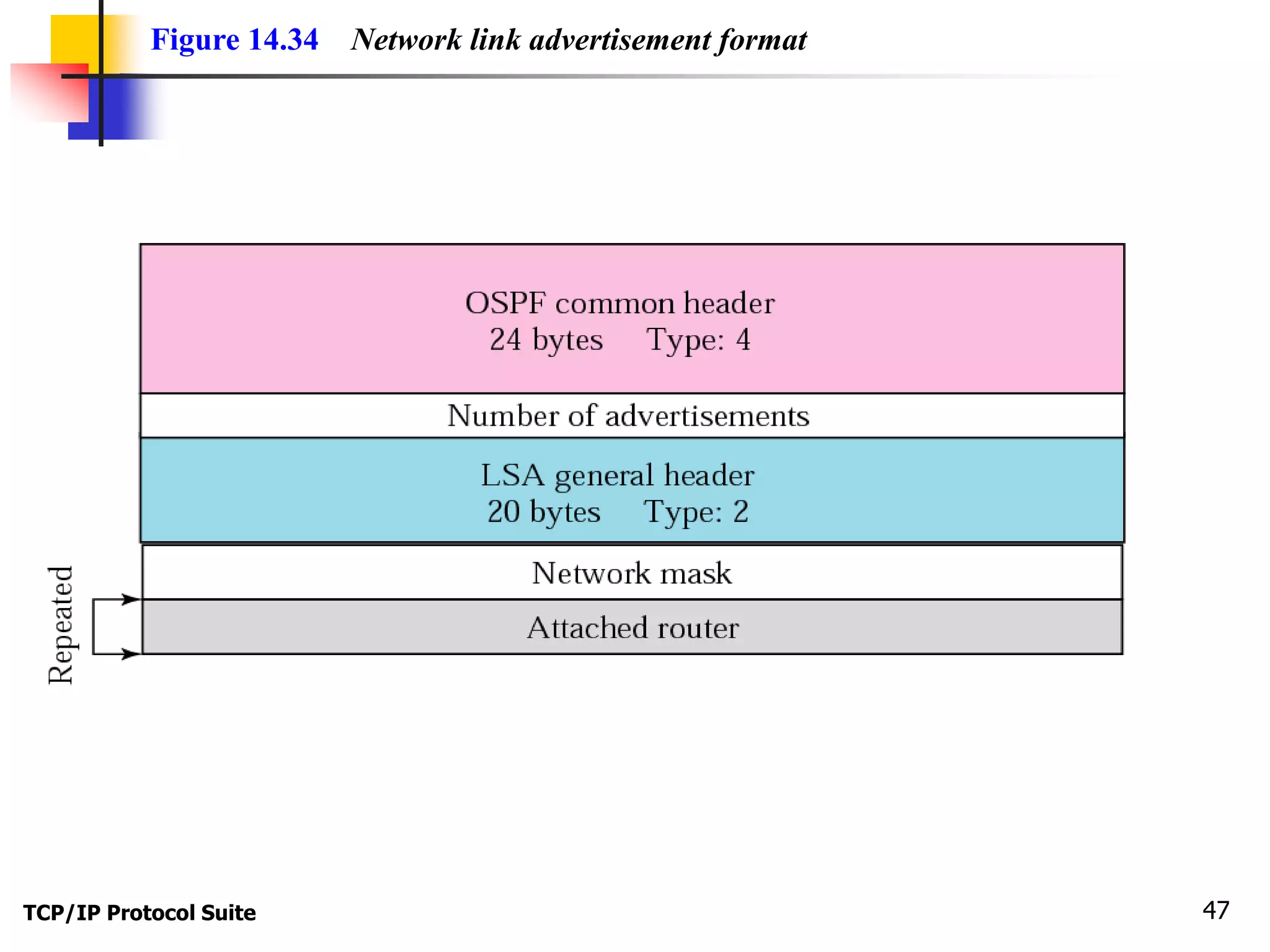 rip, ospf 13-14 | PPT