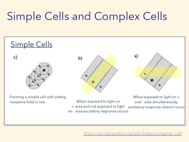 "Deep Learning" Chap.6 Convolutional Neural Net