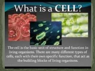Chap 1 cell | PPT