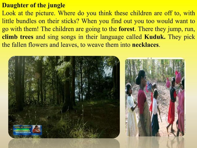 WHOSE FORESTS ENVIRONMENTAL STUDIES CBSE-V | PPTX