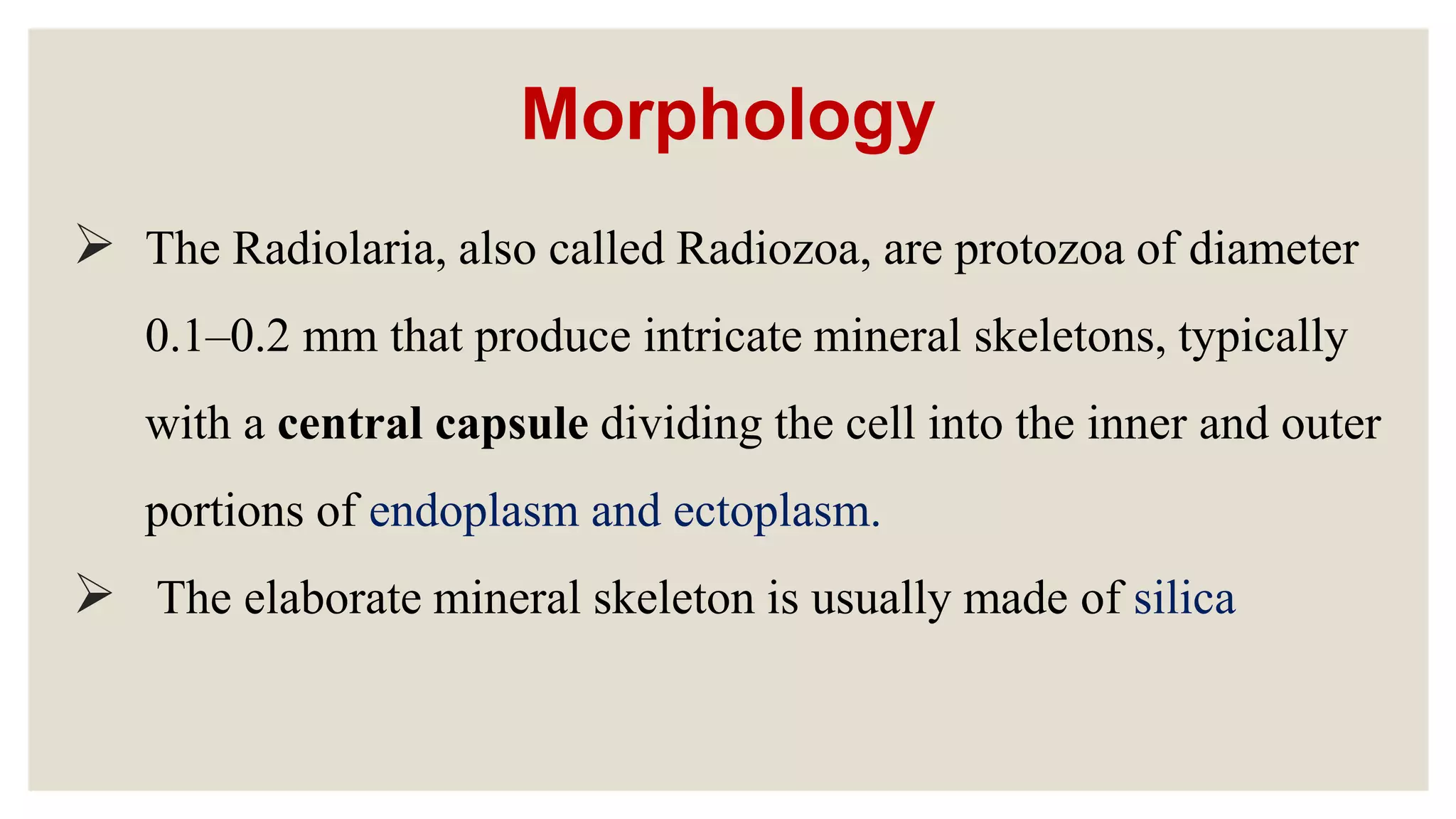 Chap. 7 Radiolaria.pptx