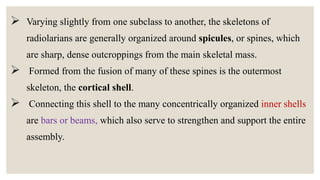 Chap. 7 Radiolaria.pptx