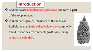 Chap. 7 Radiolaria.pptx