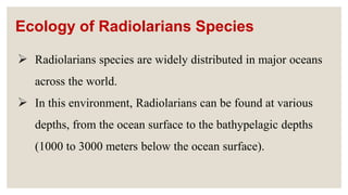 Chap. 7 Radiolaria.pptx