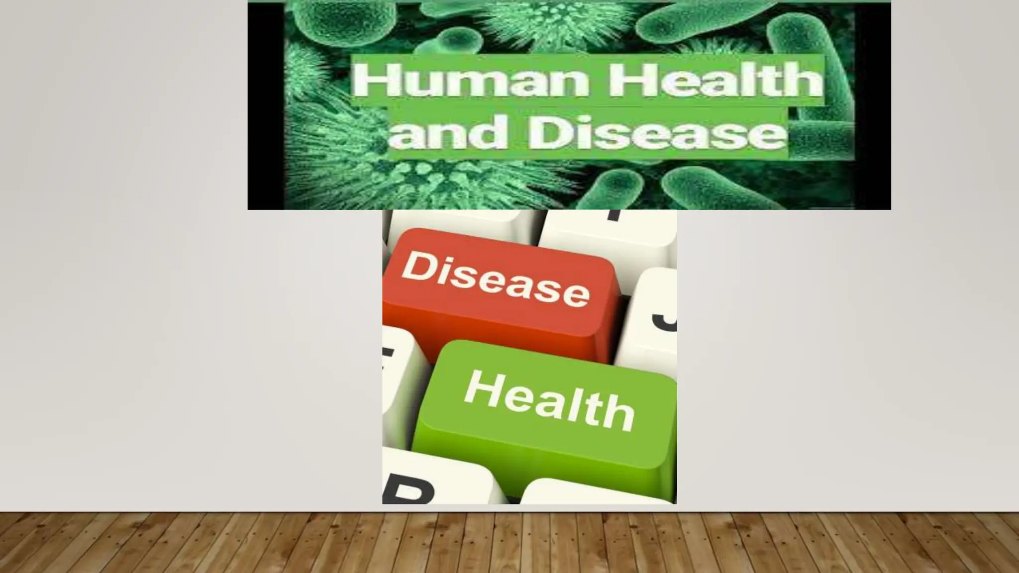 CHAP.10 TH DISEASES PPT Types of Diseases | PPT