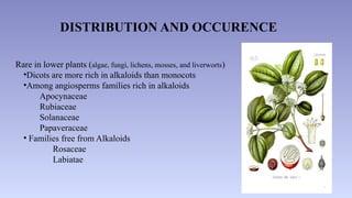Alkaloids- Definition, Classification, Occurrences, chemical tests | PPTX