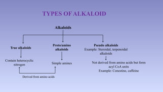 Alkaloids- Definition, Classification, Occurrences, chemical tests | PPTX