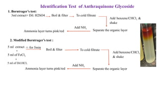 Glycoside., Glycoside-Definition, Classification, Occurrences, chemical ...