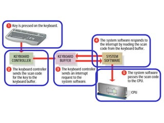 Standard methods of input | PPT