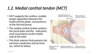 chap-3e Naso orbito ethmoid bone fracture OE fracture.pptx