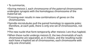 CHAP-4-CELL-DIVISION.pptx Mitosis and Meiosis | PPTX