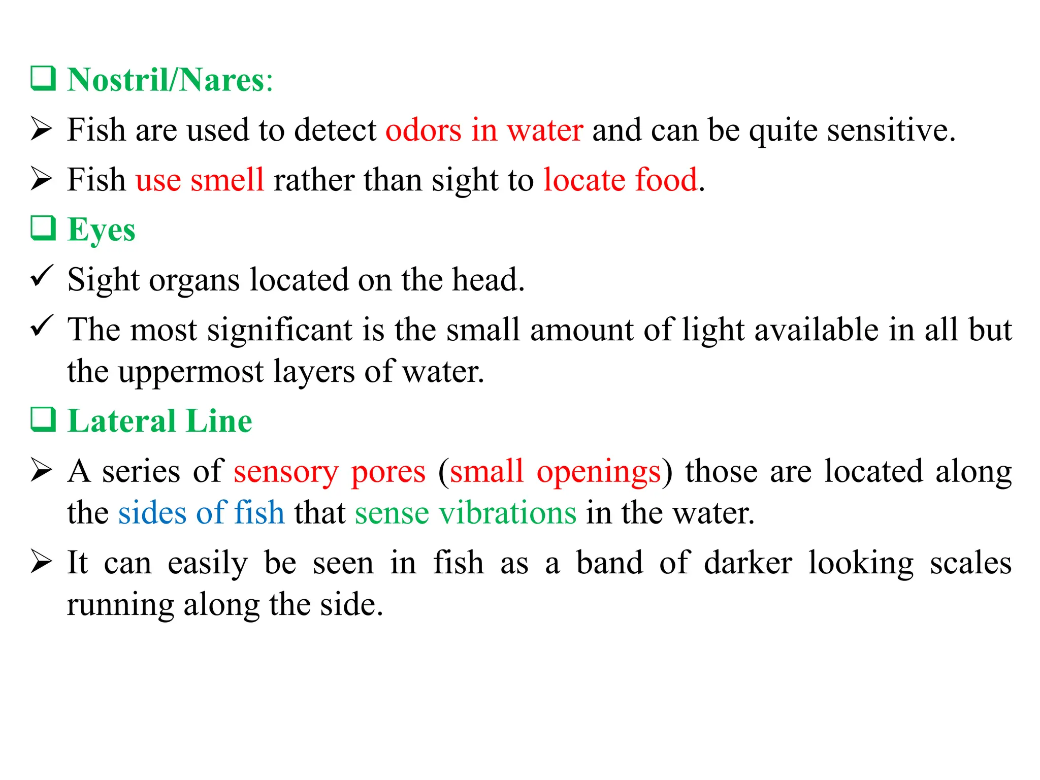 Chap-4 Anatomy and Physiology of Fish.pptx