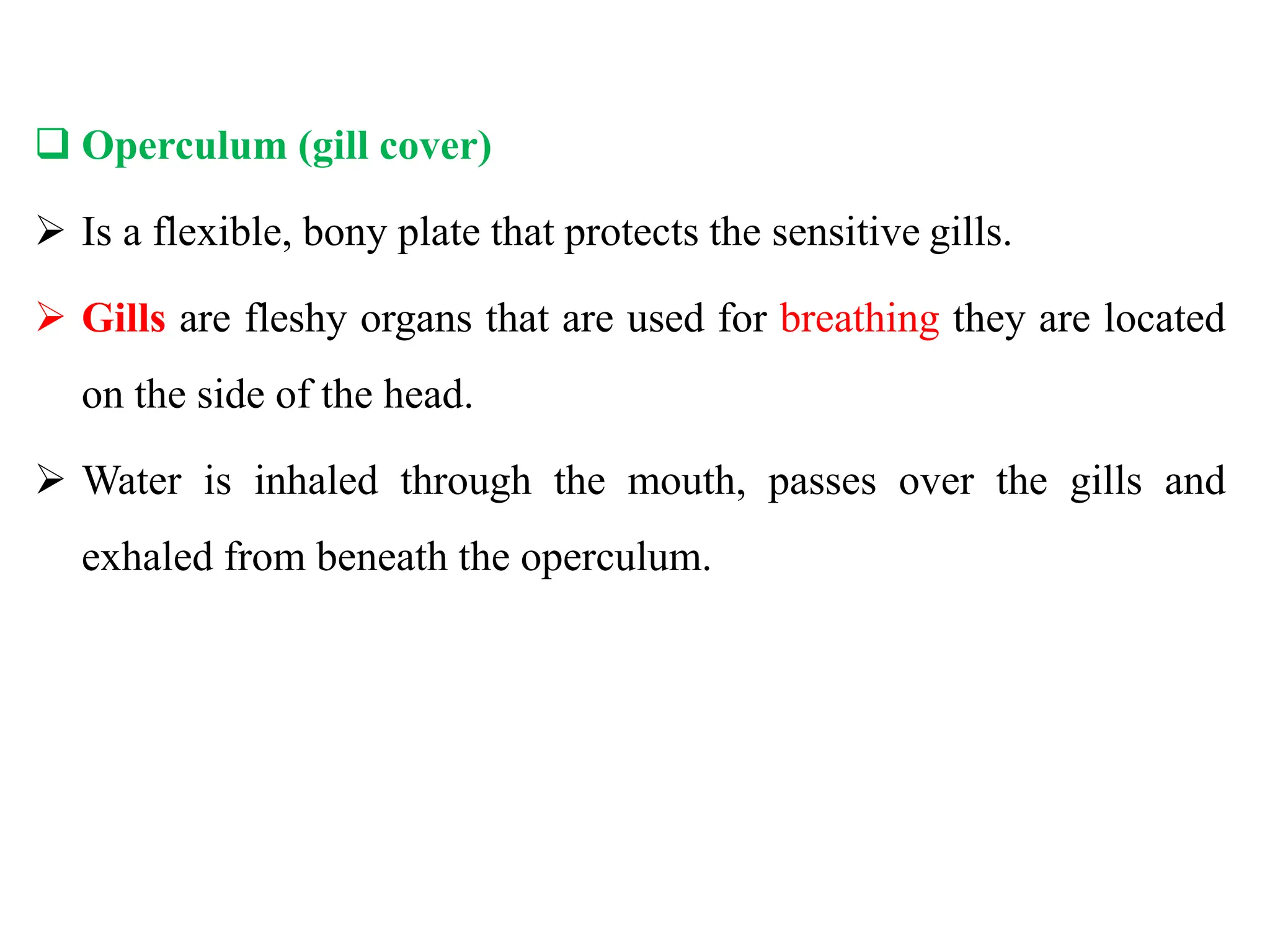 Chap-4 Anatomy and Physiology of Fish.pptx