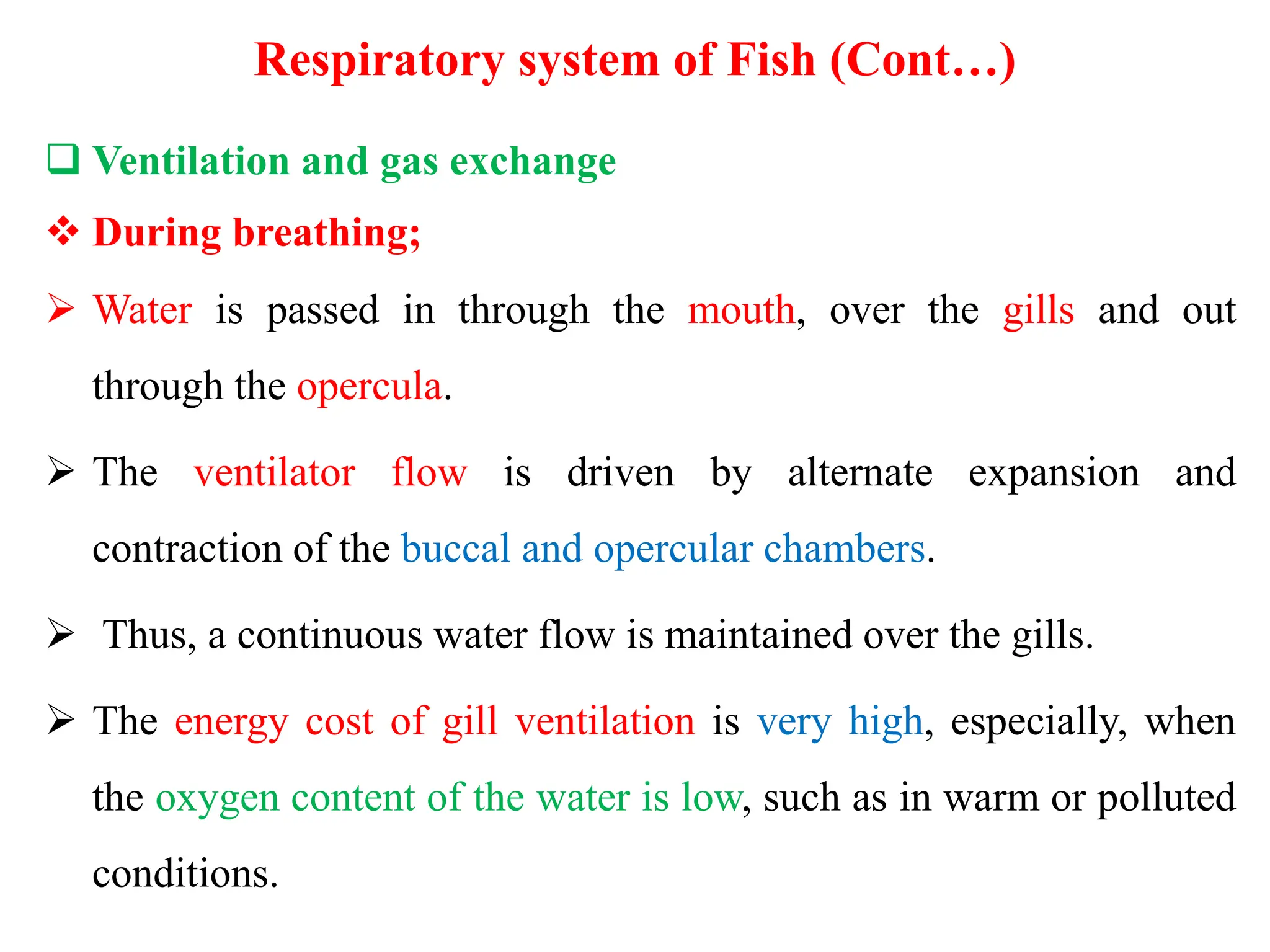Chap-4 Anatomy and Physiology of Fish.pptx