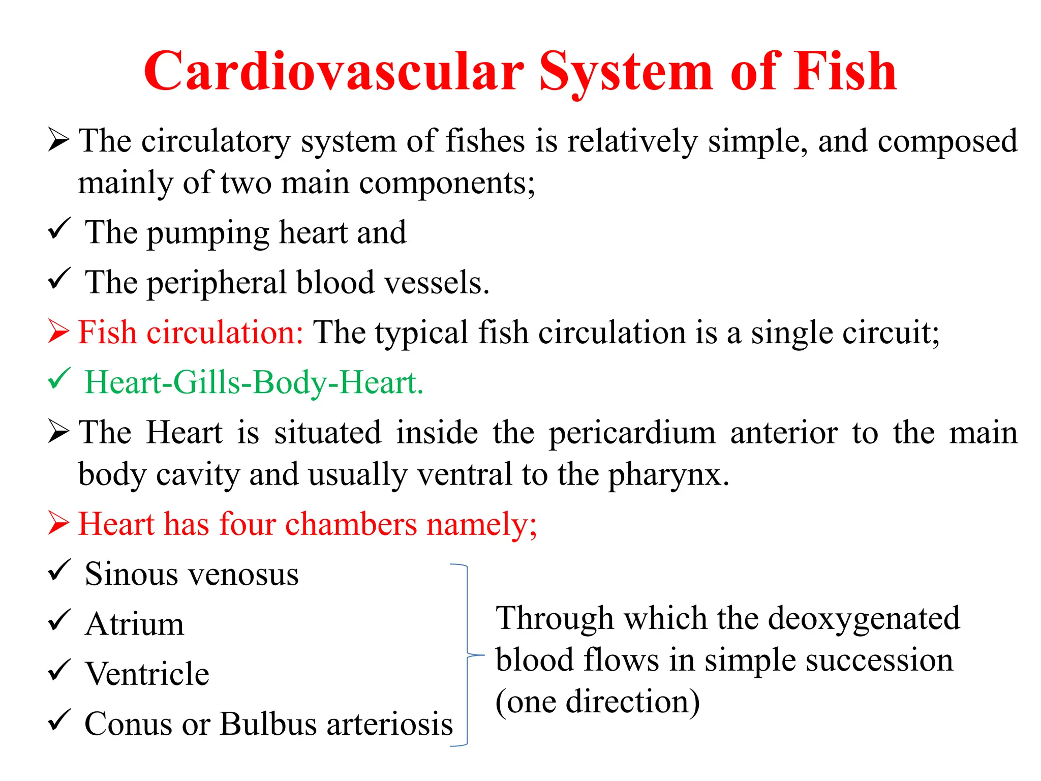 Chap-4 Anatomy and Physiology of Fish.pptx