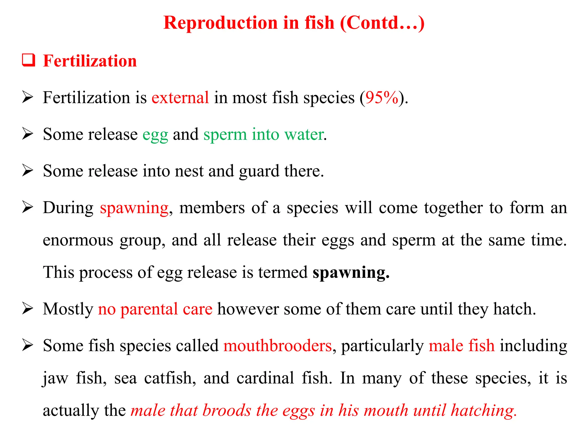 Chap-4 Anatomy and Physiology of Fish.pptx