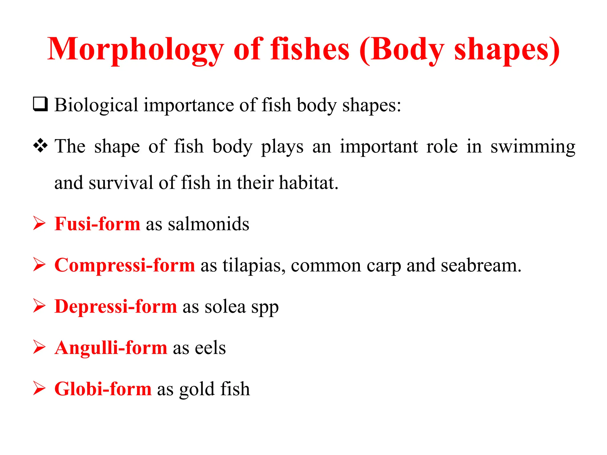 Chap-4 Anatomy and Physiology of Fish.pptx