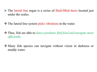 Chap-4 Anatomy and Physiology of Fish.pptx